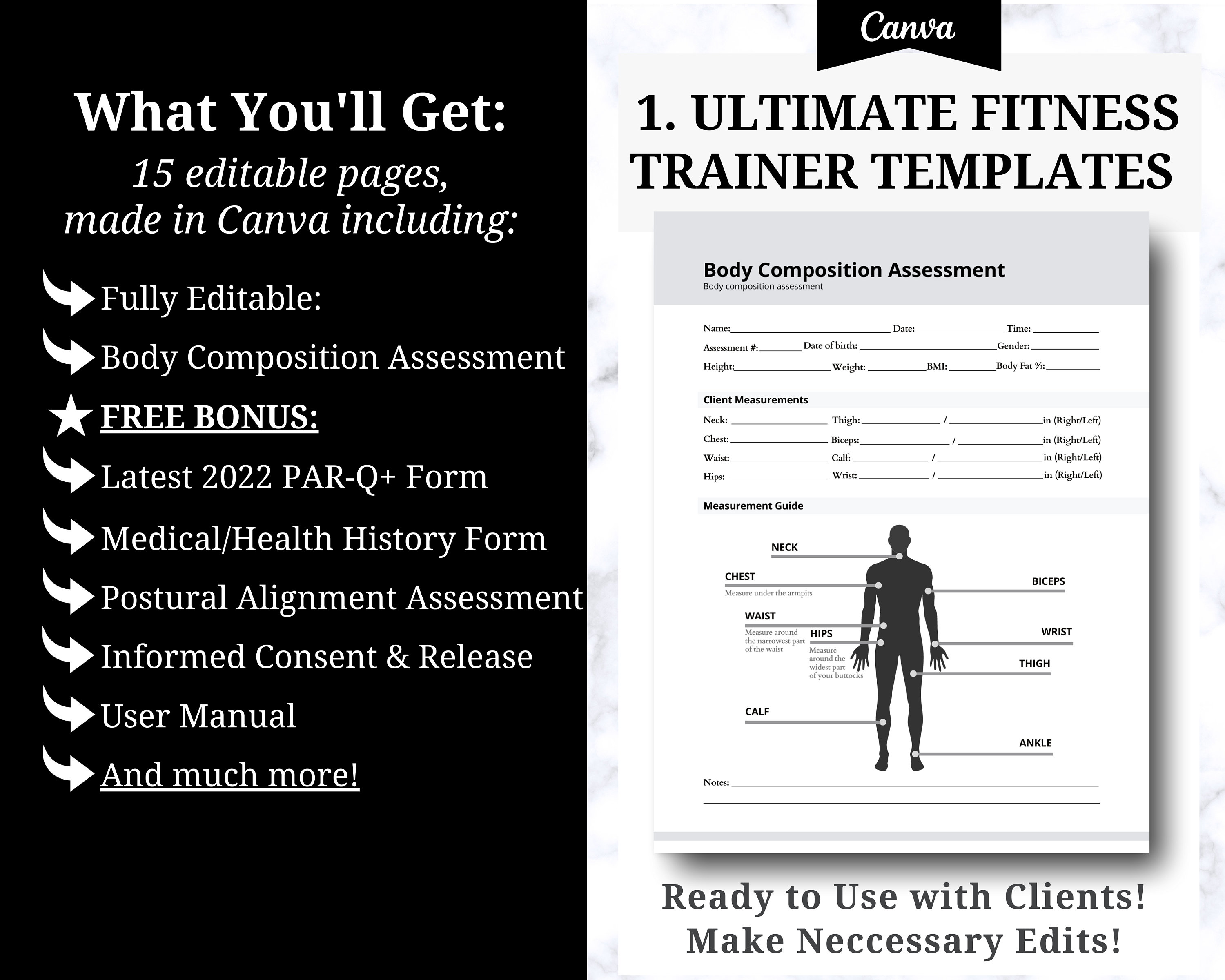 BODY COMPOSITION Personal Trainer Form, Fitness Coach Form, Body ...