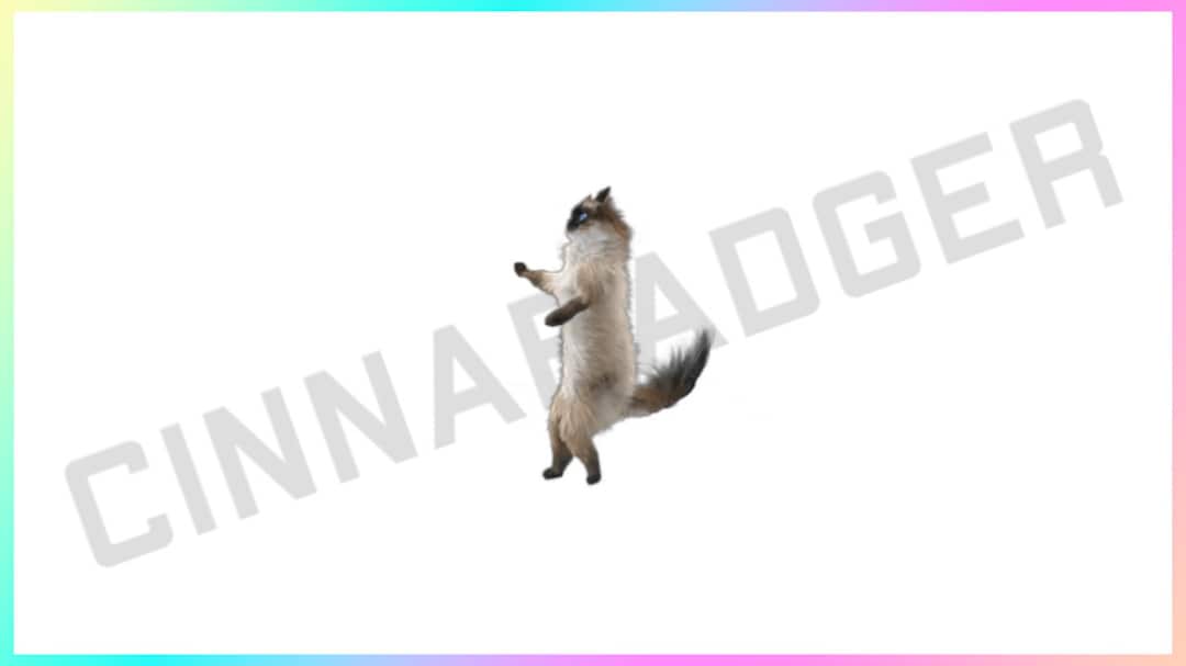 Transparent Background Dancing Cat Stream Decoration for Channel ...