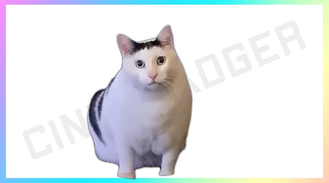 Transparent Background Huh Cat Stream Decoration for Channel Rewards ...