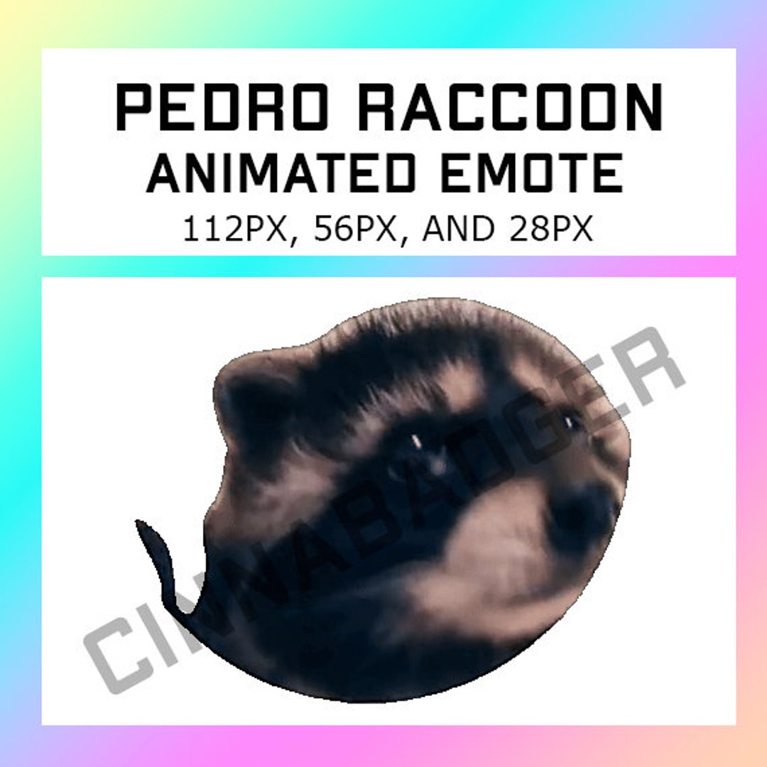 Animated Spinning Raccoon Pedro Tiktok Meme Emote for Use on Streaming ...