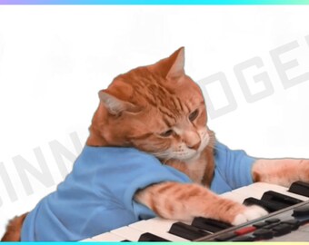 Transparent Cat Jam Meme Stream Decoration for Use in OBS by Content ...