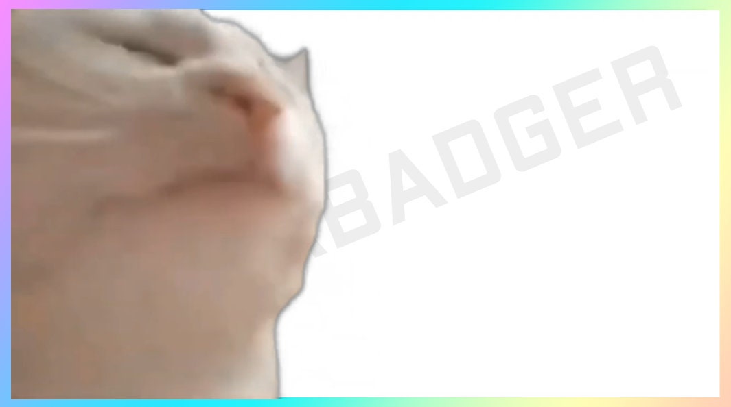 Transparent Cat Jam Meme Stream Decoration for Use in OBS by Content ...