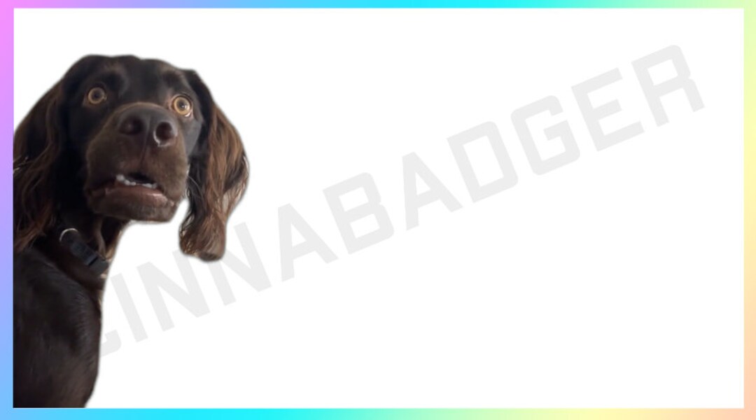 Transparent Background Confused Black Dog Stream Decoration for Channel ...