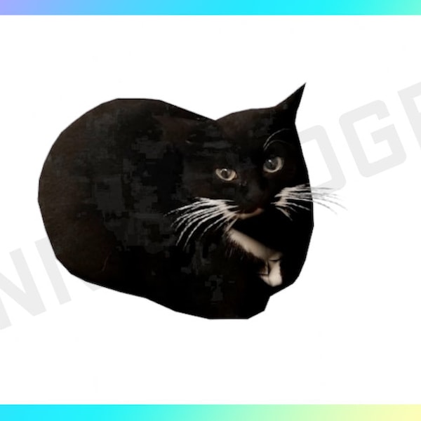 Maxwell the Cat - Etsy