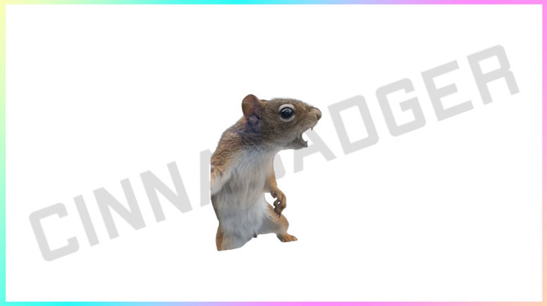 Transparent Background Roaring Growling Squirrel Decoration for Channel ...