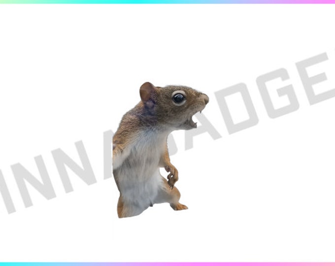 Transparent Background Roaring Growling Squirrel Decoration for Channel ...