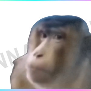 Transparent Background Sus Monkey Stream Decoration for Channel Rewards ...