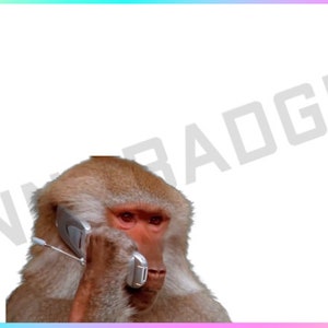 Transparent Background Dialing Out Calling Monkey Stream Decoration for ...