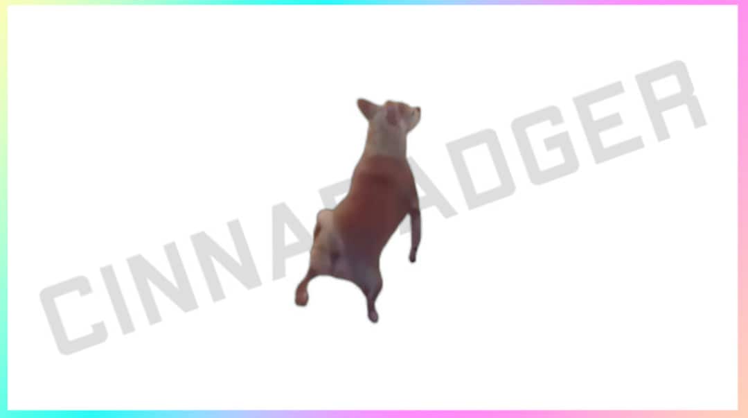 Transparent Twerking Dog Meme Stream Decoration for Use in OBS by ...