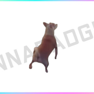 Transparent Twerking Dog Meme Stream Decoration for Use in OBS by Content Creators and Streamers ...