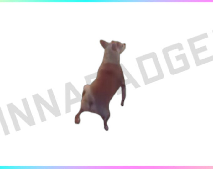 Transparent Twerking Dog Meme Stream Decoration for Use in OBS by ...