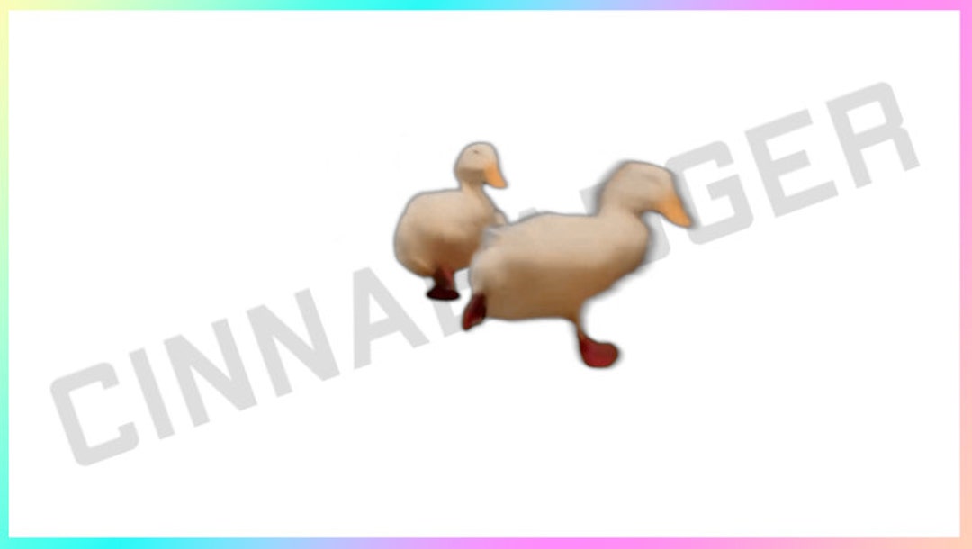 Transparent Background Ducks Running Stream Decoration for Channel ...