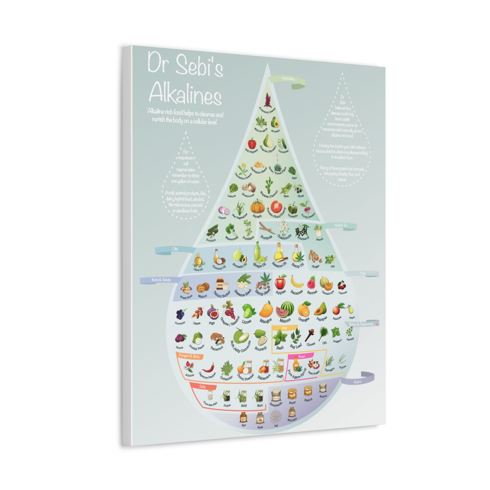 Dr Sebi Canvas Print, Alkaline Diet, Food Chart, Healthy Eating ...