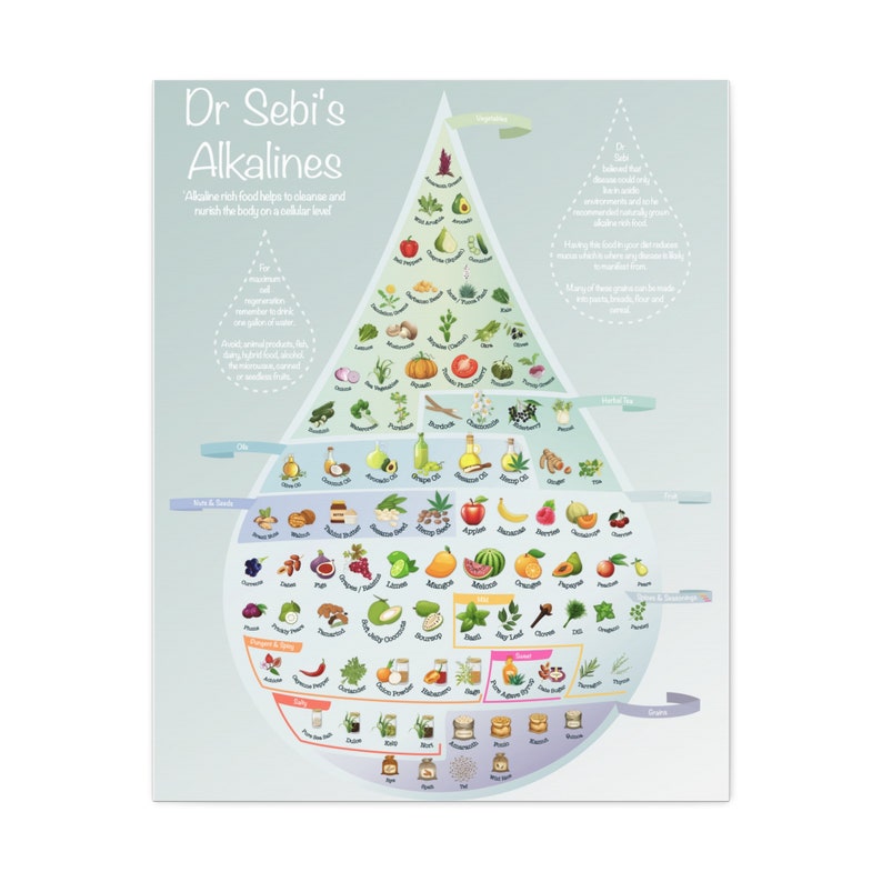 Dr Sebi Canvas Print, Alkaline Diet, Food Chart, Healthy Eating, Wellbeing, You Are What You Eat ...