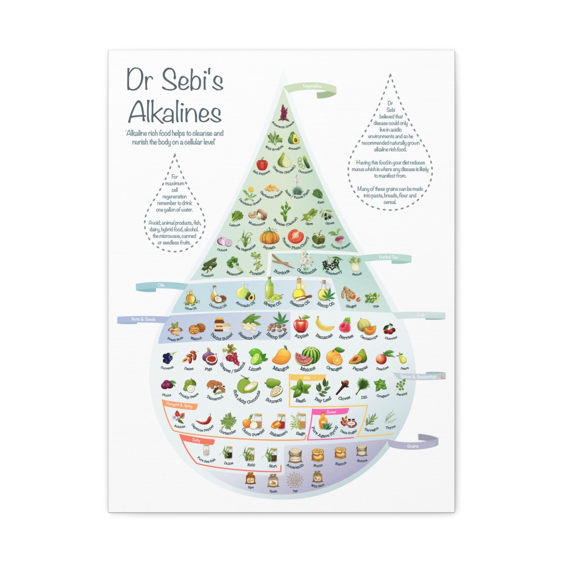 Dr Sebi, Digital Download, Poster Print, Guidance, Food Guide, Brain ...