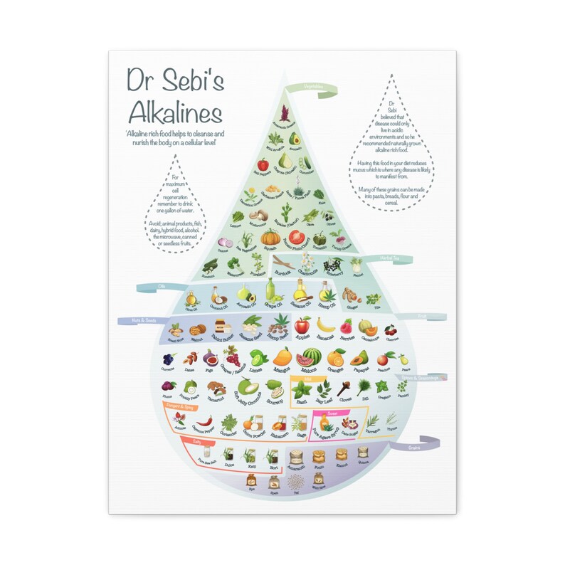 Dr Sebi, Digital Download, Poster Print, Guidance, Food Guide, Brain Food, Skin, Detox Medicine ...