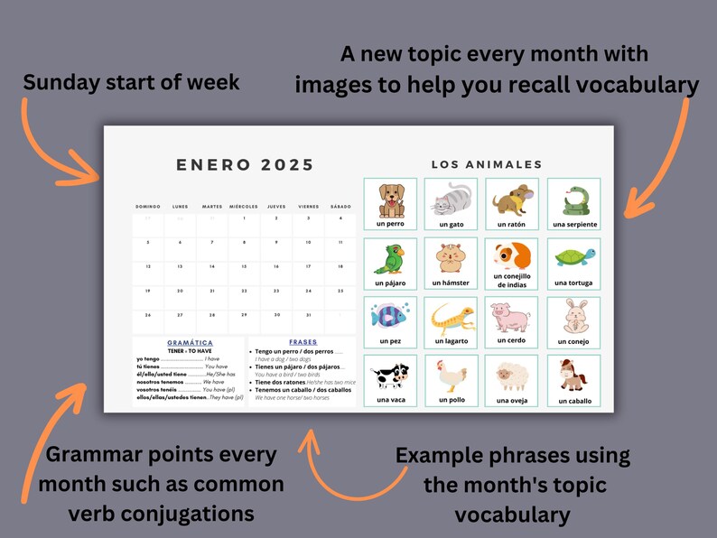 2025 Spanish-english Calendar for Beginners to Learn Spanish - Etsy UK