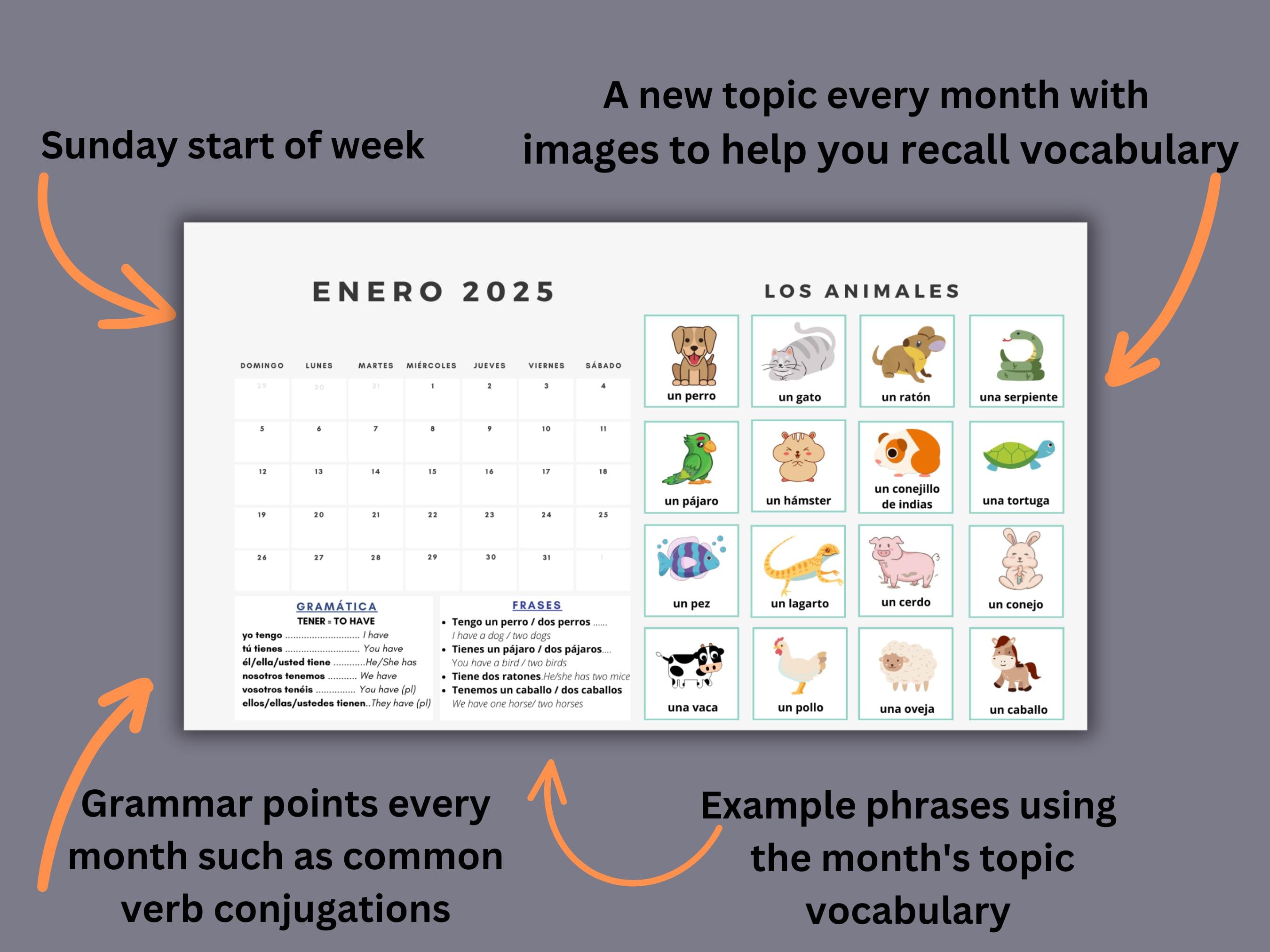 2025 Spanish-english Calendar for Beginners to Learn Spanish - Etsy UK