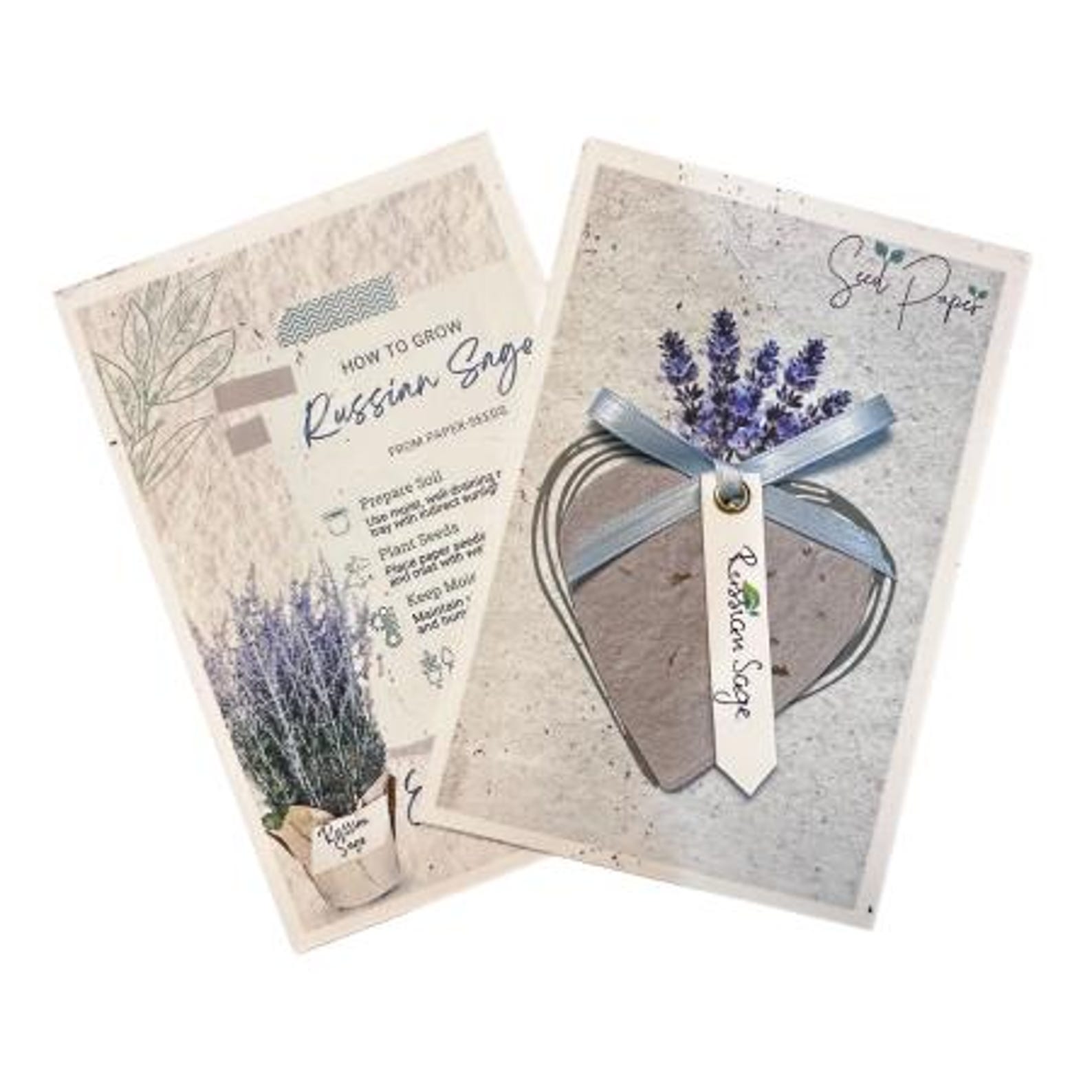 Russian Sage Seeds (perovskia Atriplicifolia) Packet of 10 Seeds - Etsy