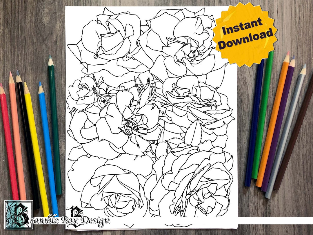 All the Roses Printable Coloring Page - Etsy