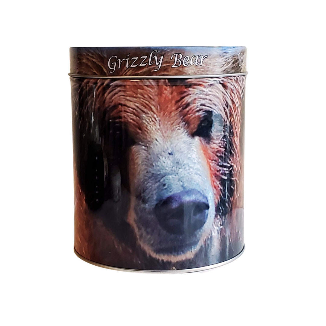 2000s Grizzly Bear Tin Box, Great Condition (mountain Cabin Decor ...