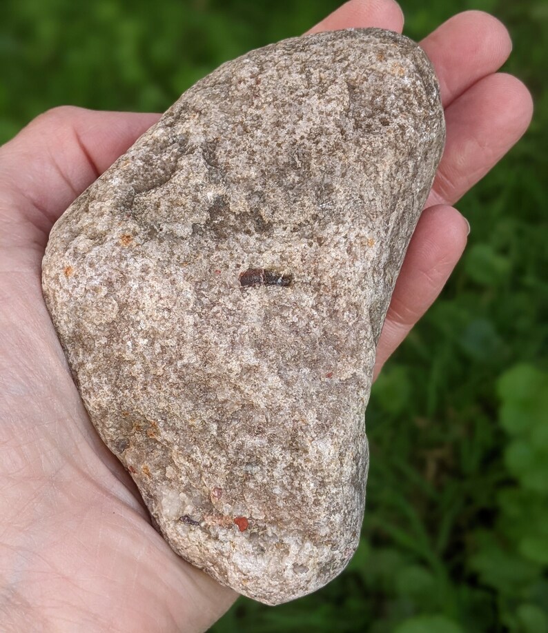 Michigan Puddingstone (quartzite, Banded Chert, White Quartz, Red ...
