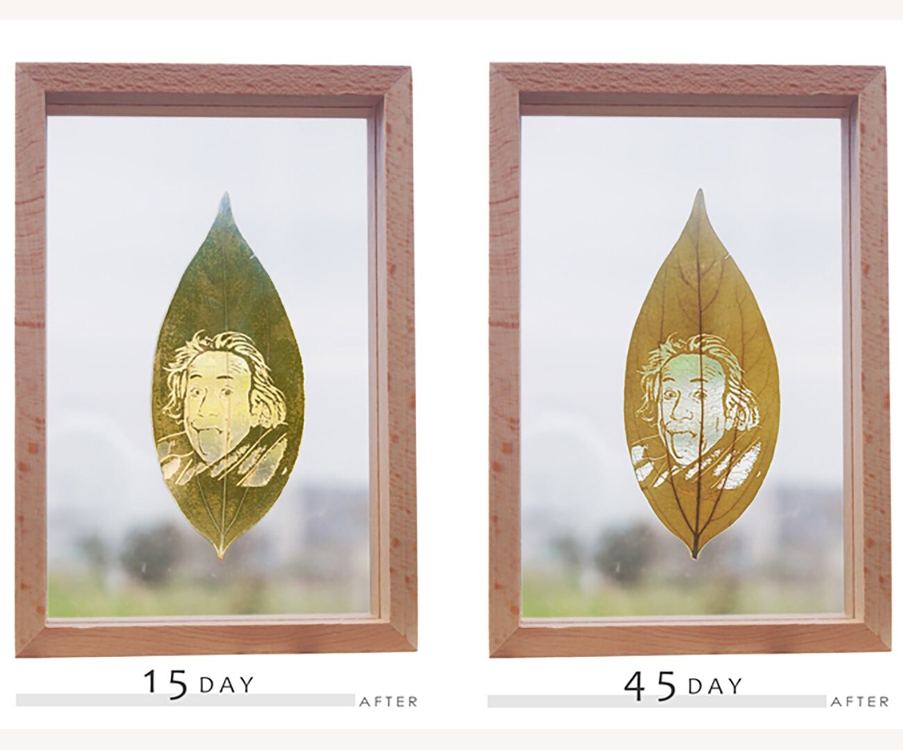 Custom Leaf Engraved Photo, Portrait Leaf Engraved Photo, Personality ...