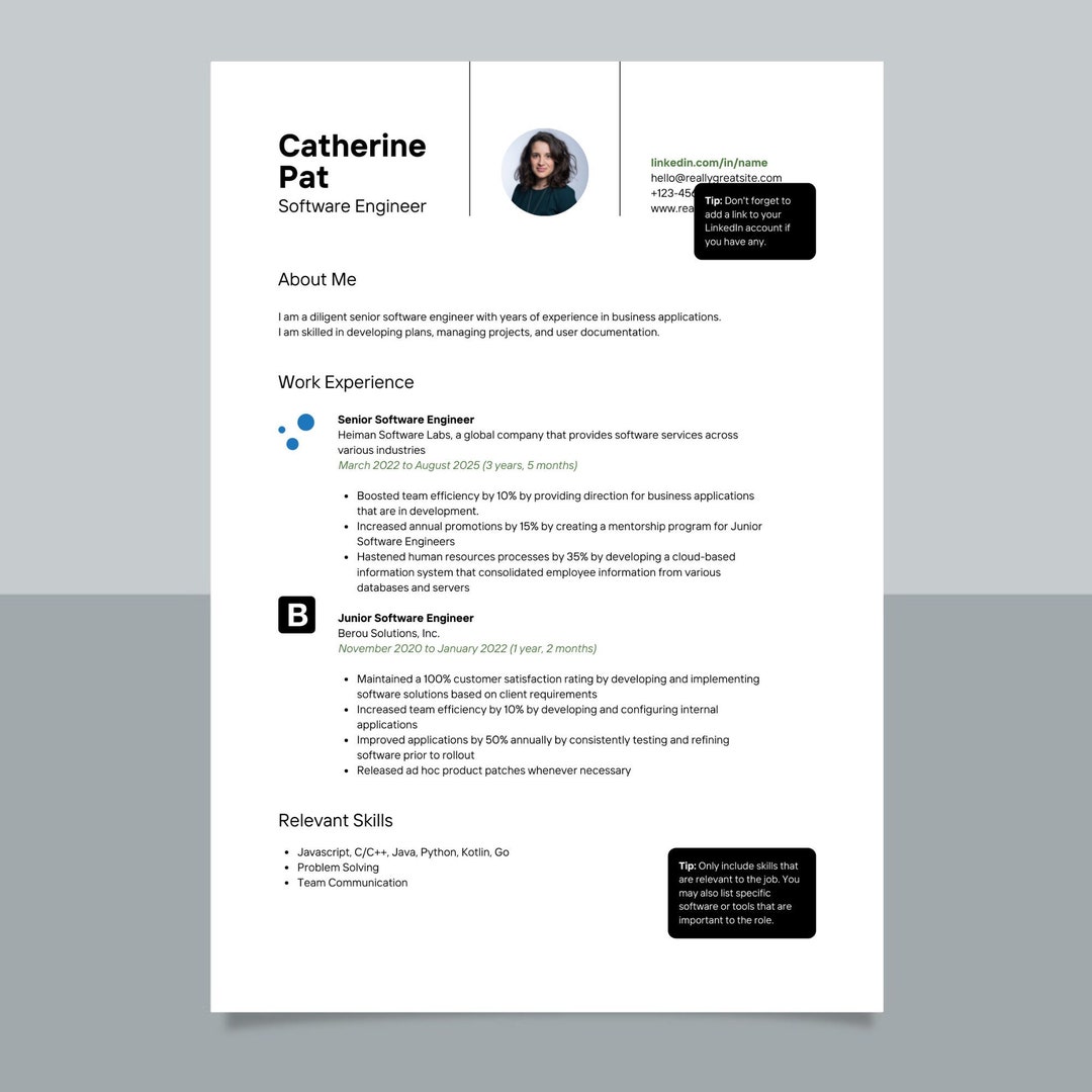 Digital Resume Template | Software Engineer | Professional Template ...