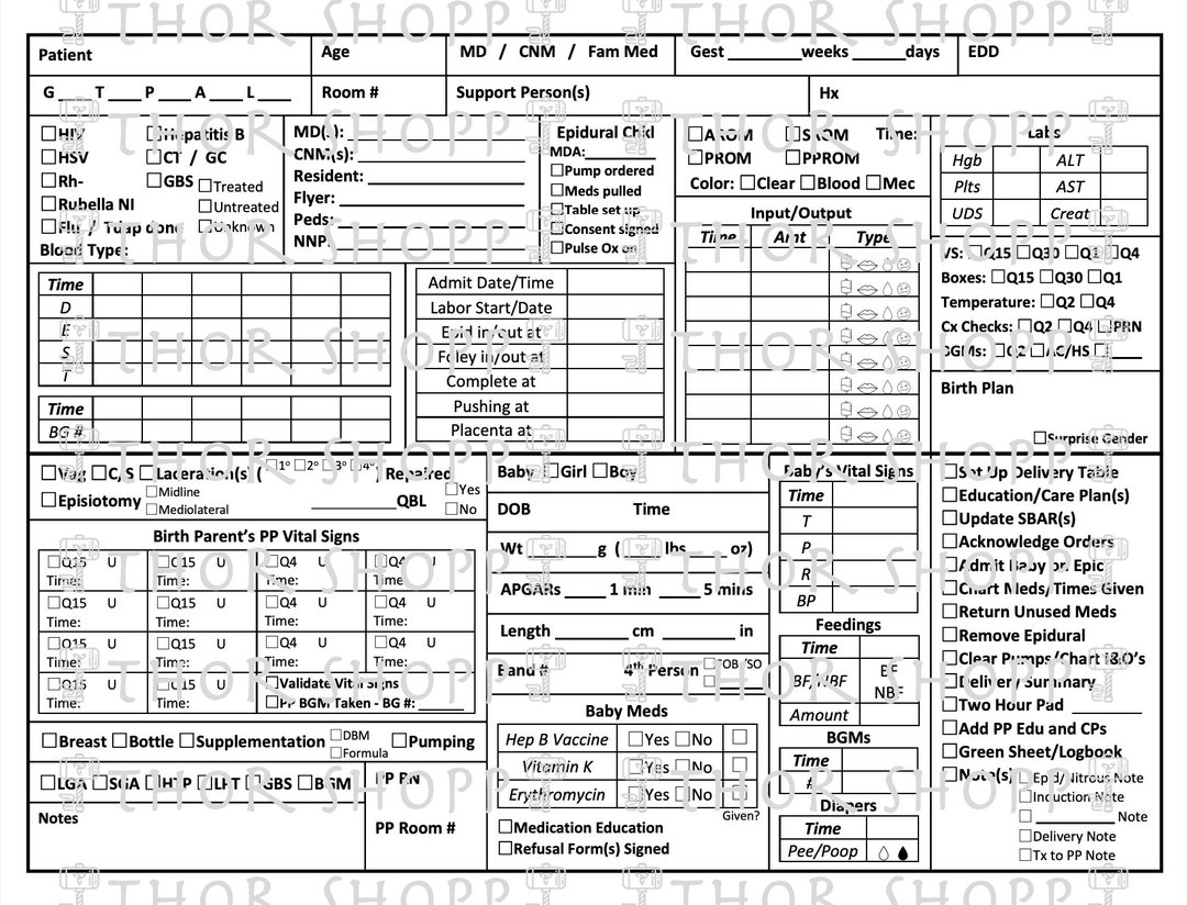 Labor and Delivery RN Patient Brain - Etsy