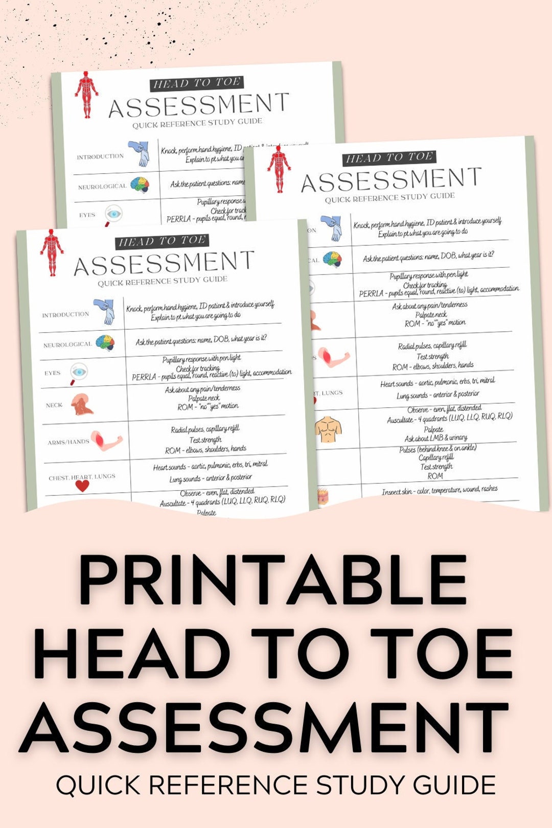 Nursing Student Head to Toe Assessment Printable Study Guide Nursing ...