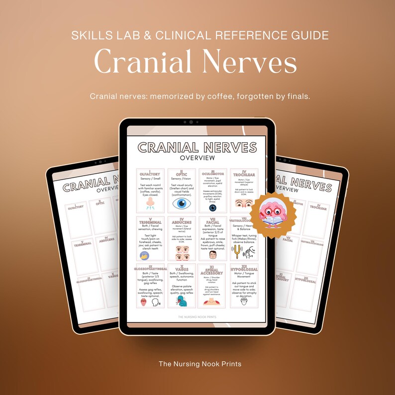 Nursing Cranial Nerves Printable | Study Guide for Students | 2 JPG ...