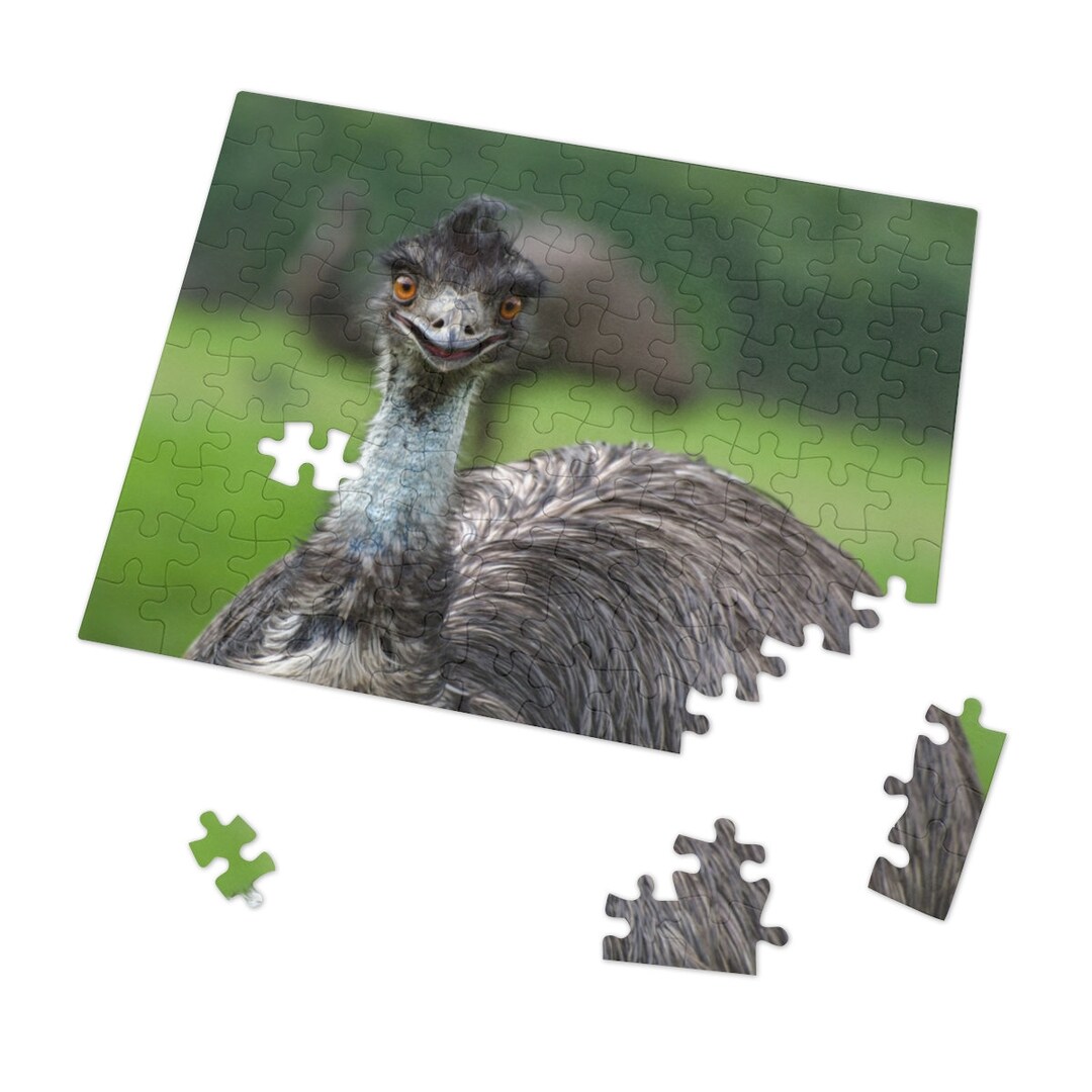Jigsaw Puzzle Flightless Ratite Bird Happy Cute Family Gift Fun ...