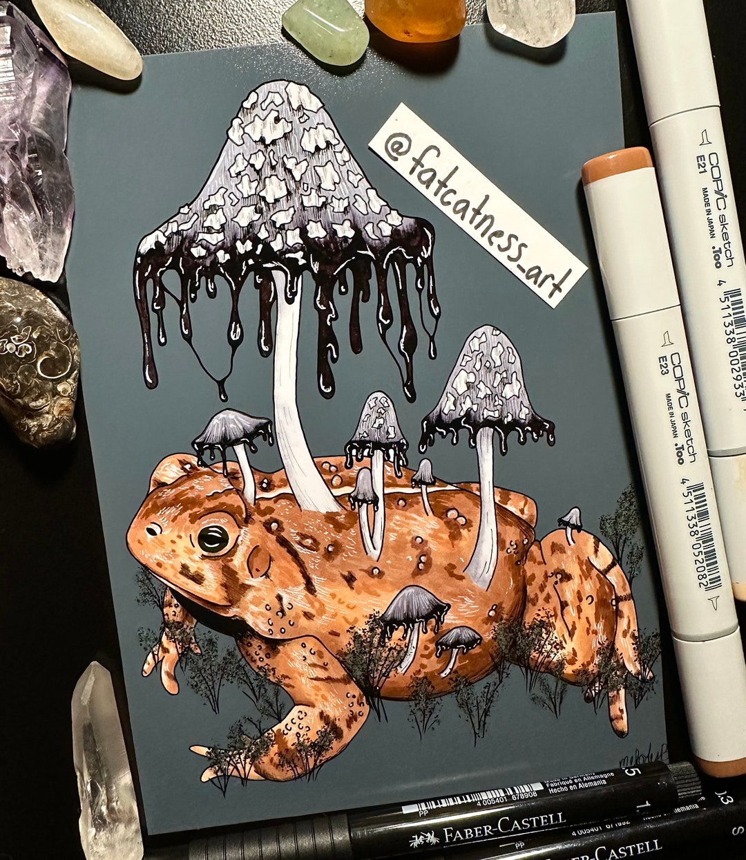 Toad With Mushrooms Art Print - Etsy
