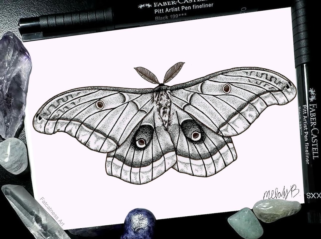 Polyphemus Moth Art Print - Etsy