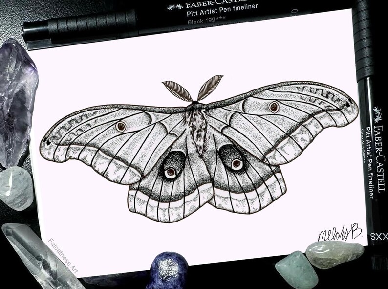 Polyphemus Moth Art Print - Etsy