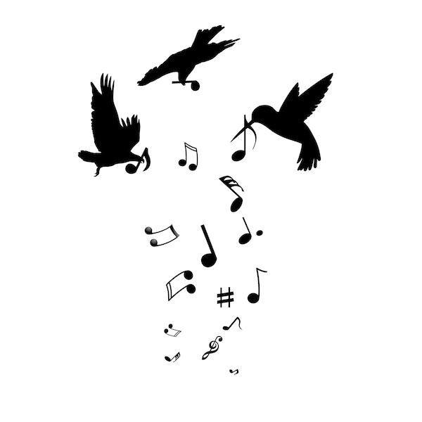 Bird Music Svg - Etsy