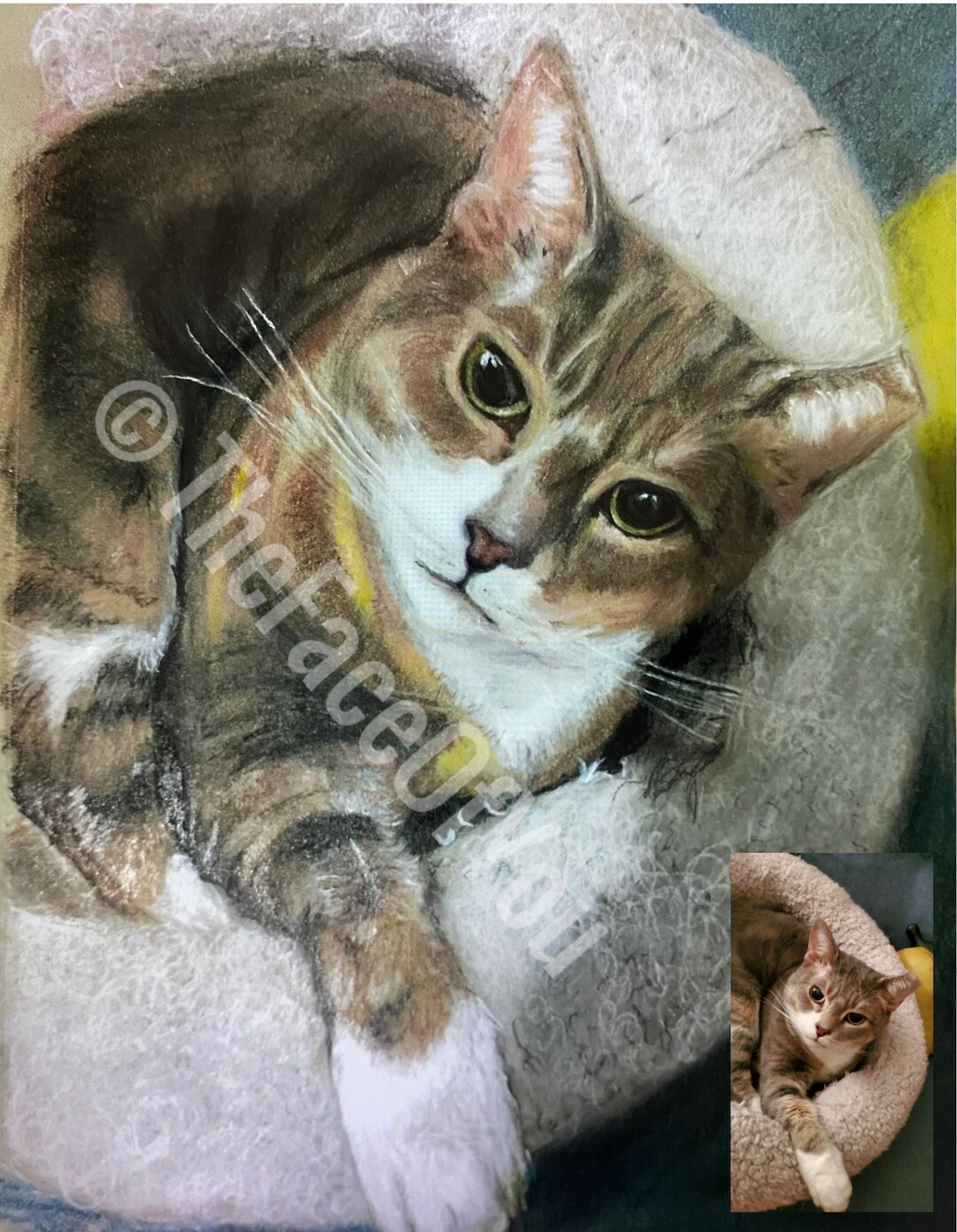 Custom Cat & Dog Portraits, Authentic Personalized Hand Drawn Pet ...