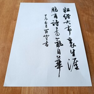 29.7cm Authentic Chinese Calligraphy Handwriting by Professor Bingsheng ...