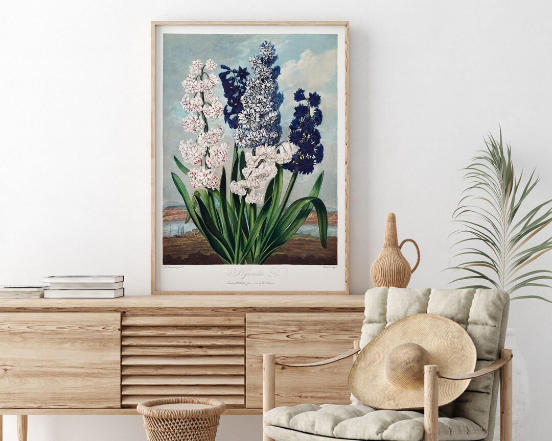 Robert John Thornton Print, Botanical Poster, Printable Wall Art ...