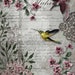 Hummingbird Song | Decoupage Queen | A3 - Etsy