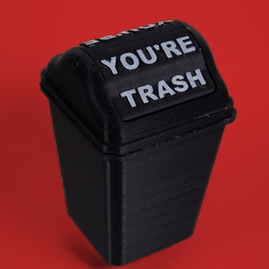 You're Trash Can 3D Printed Desk, Bathroom, Bedroom, Kitchen Recycling ...