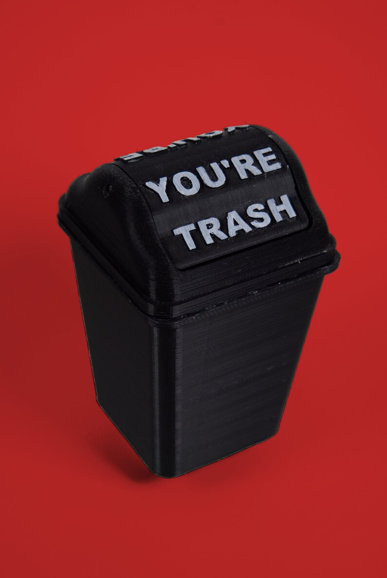 You're Trash Can 3D Printed Desk, Bathroom, Bedroom, Kitchen Recycling ...