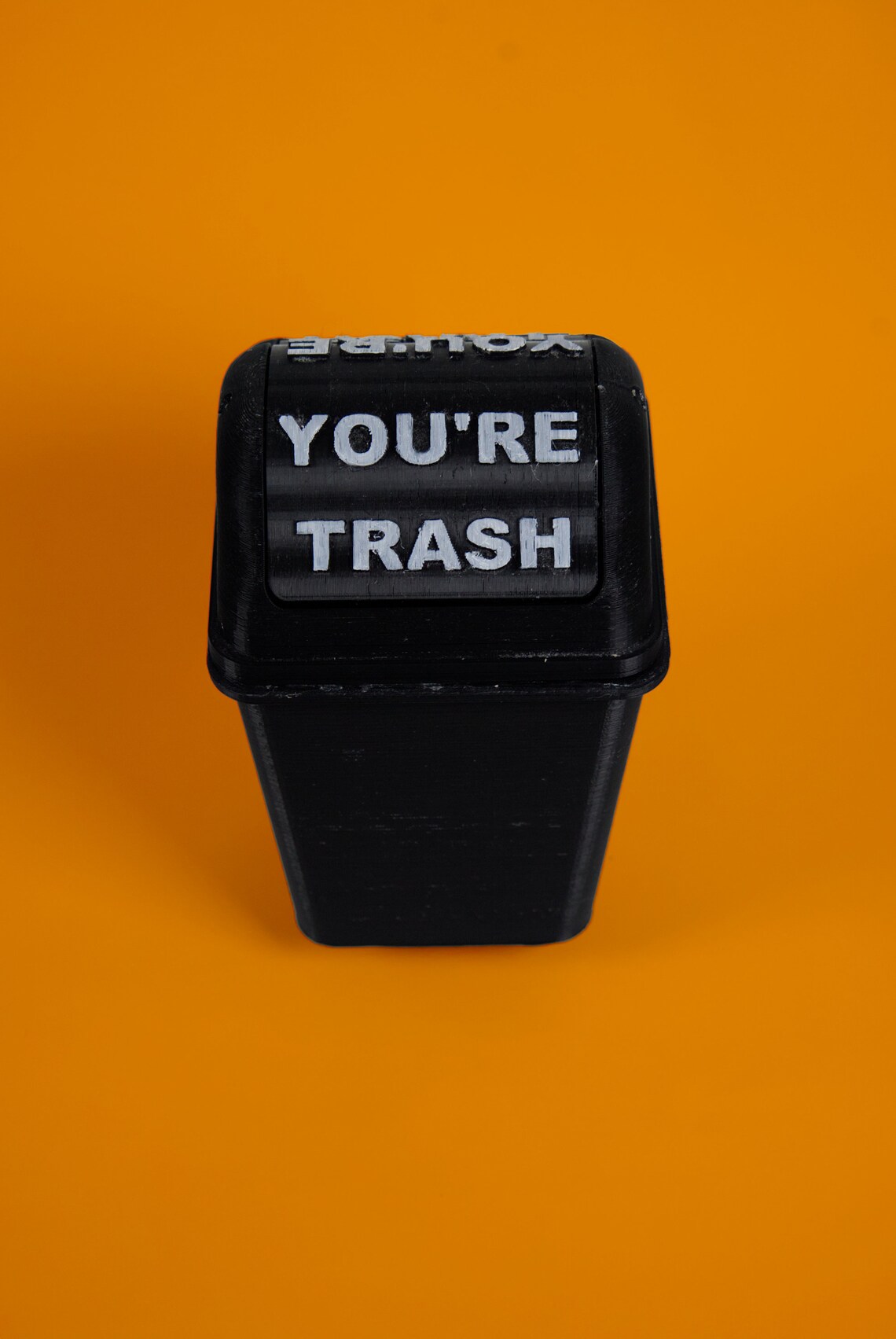 You're Trash Can 3D Printed Desk, Bathroom, Bedroom, Kitchen Recycling ...