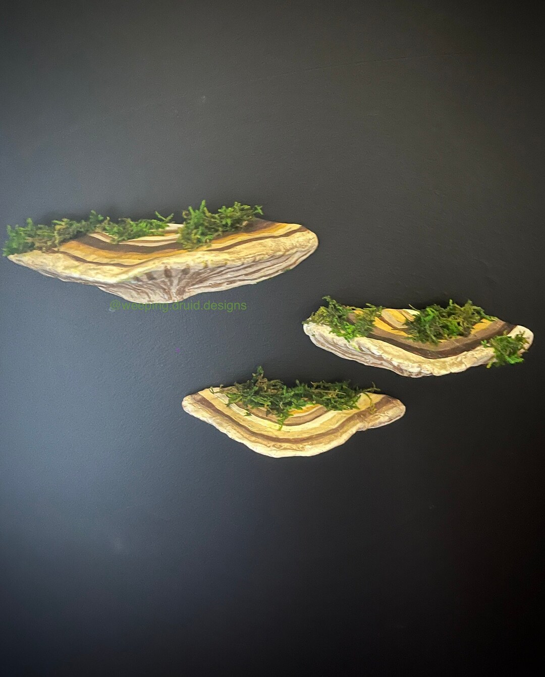 Mushroom Set of 3 Moss Polypore Shelf Mossy Nature Decor Wall ...