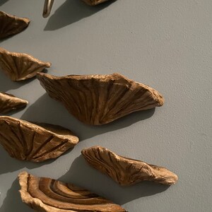 Set of 3 Mushroom Fungi Wall Shelf Polypore Wall Decor Nature Art ...