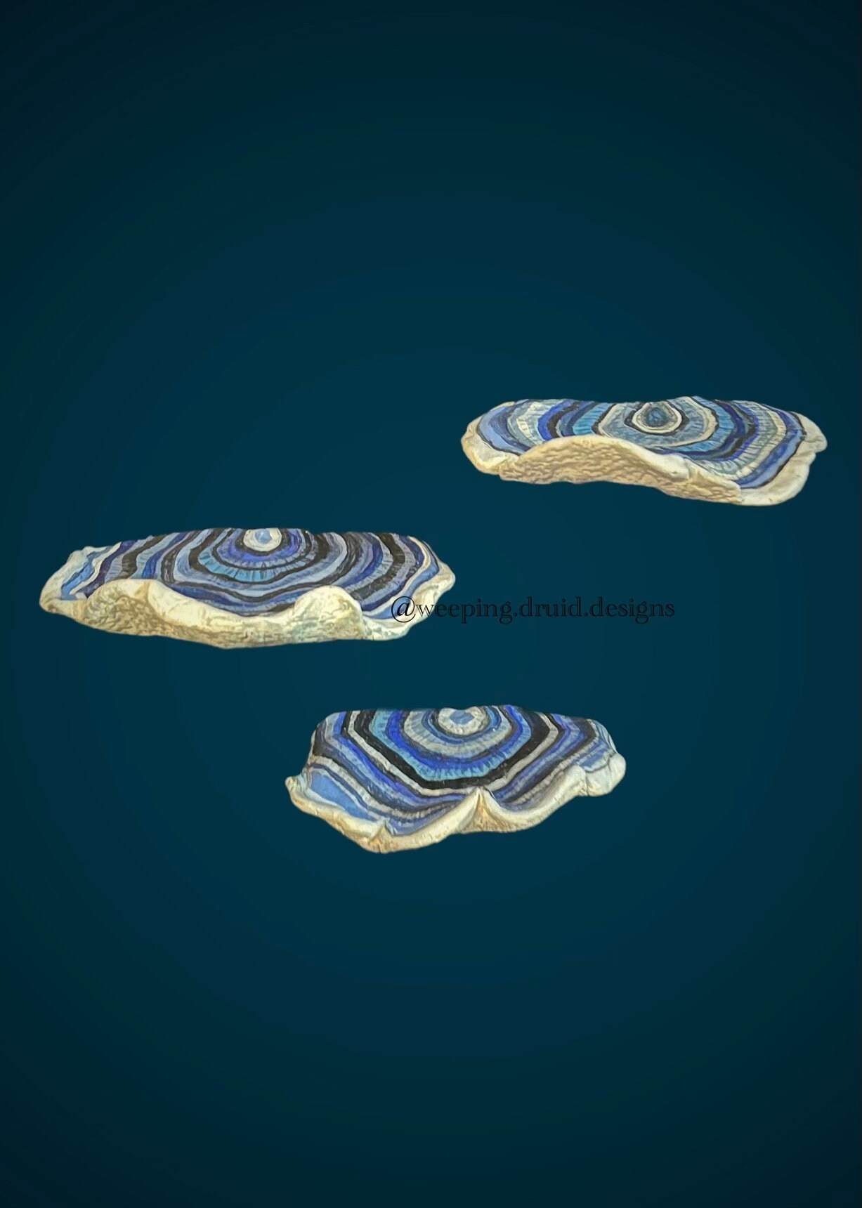 Mushroom Wall Shelf Set of 3 Turkey Tail Fungi Polypore Decor ...