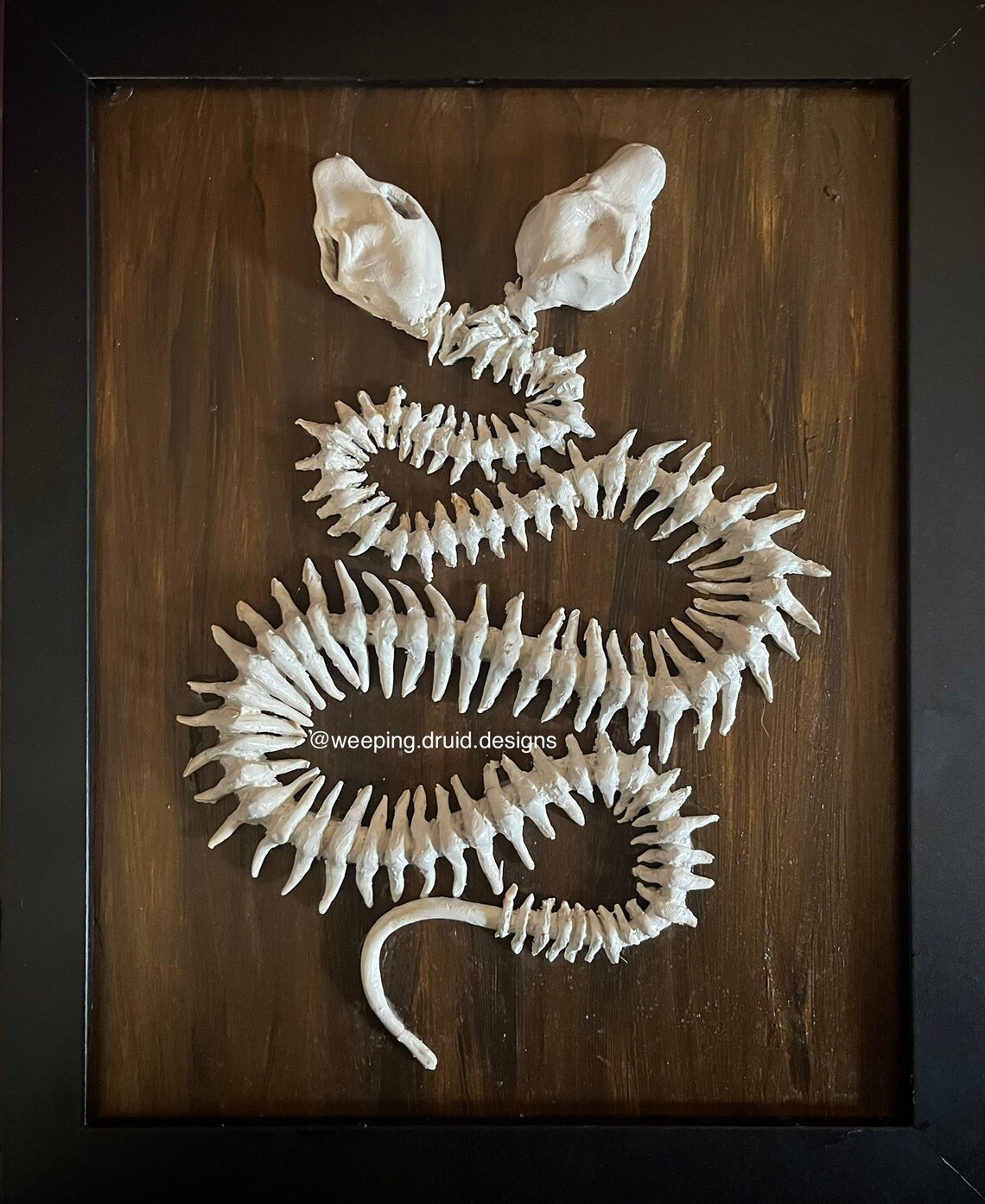 Snake Skeleton Sculpture Conjoined Twins Python Taxidermy Entomology ...