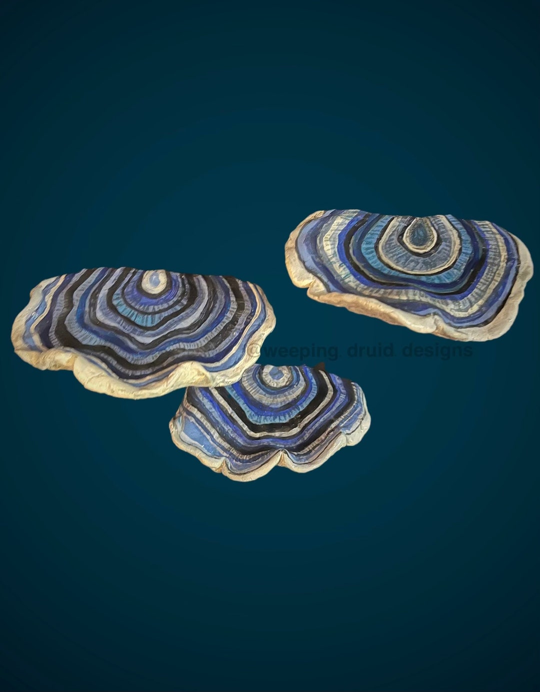 Mushroom Wall Shelf Set of 3 Turkey Tail Fungi Polypore Decor ...