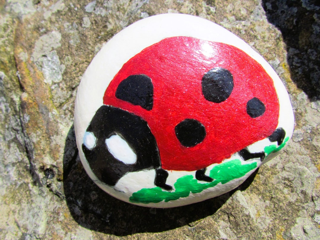 Rock/stone Art Hand Painted Natural Stone With Ladybird/ladybug Design ...