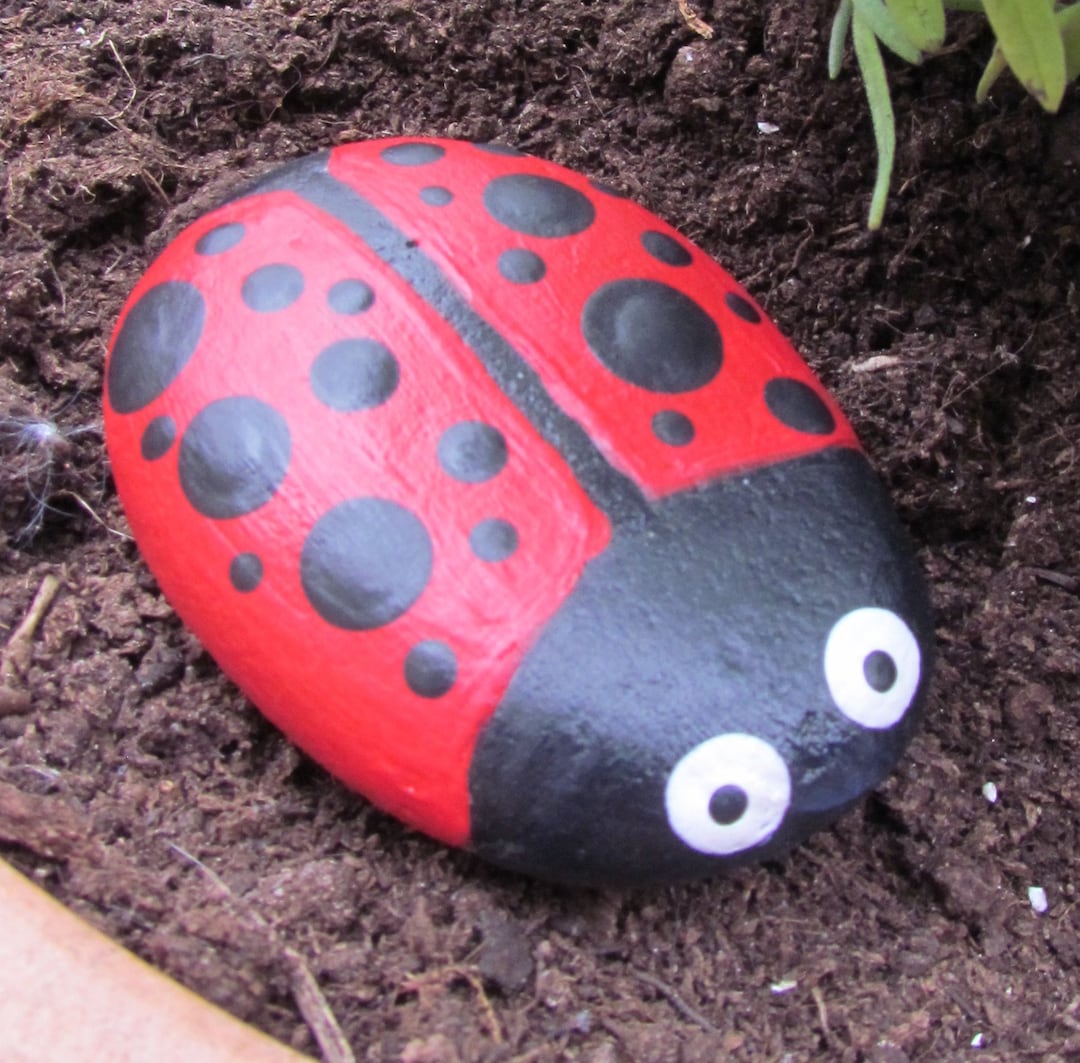 Ladybird/ladybug Rock/stone Art Hand Painted Made to Order Acrylic Art ...